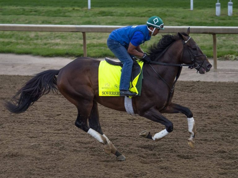 In Profile: The Relentless Success of Trainer Bill Mott | Horse Trainers